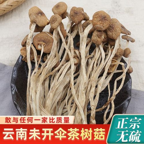 茶树菇怎么挑选_茶树菇和香菇的区别-第1张图片-山城妙识