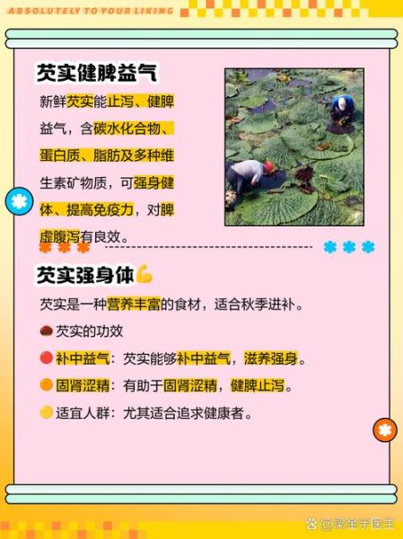 茨实怎么读_茨实的功效与作用-第3张图片-山城妙识