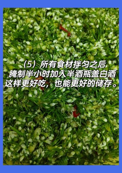 韭花怎么腌制好吃_韭花腌制视频教程-第3张图片-山城妙识 韭花怎么腌制好吃_韭花腌制视频教程-第3张图片-山城妙识