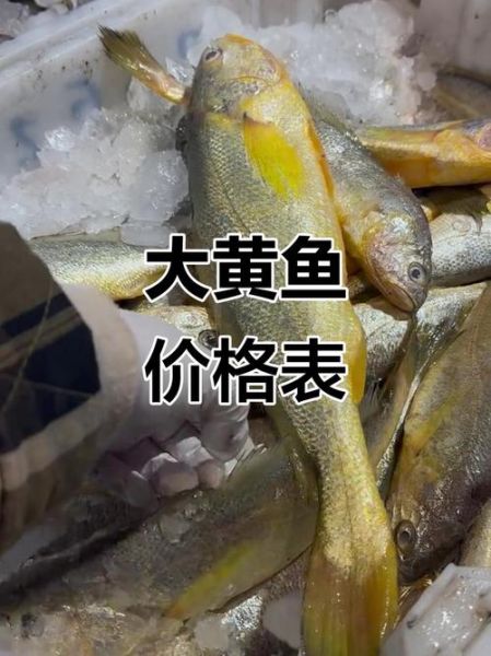 黄花鱼价格今日价多少钱一斤_今日黄花鱼批发行情-第1张图片-山城妙识