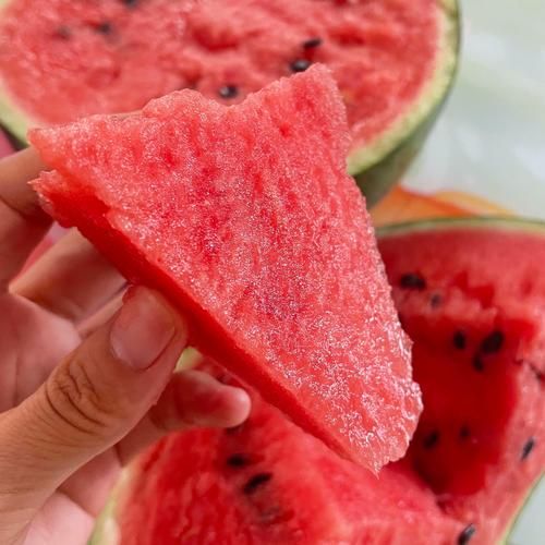 打瓜是什么瓜_打瓜和西瓜的区别-第3张图片-山城妙识