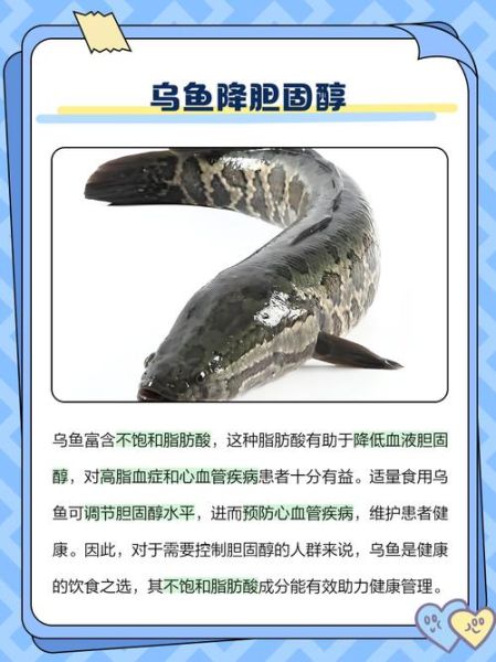 吃乌鱼10大忌_乌鱼不能和什么一起吃-第2张图片-山城妙识