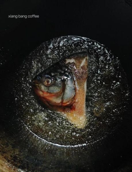 食人鲳图片_食人鲳长什么样-第3张图片-山城妙识