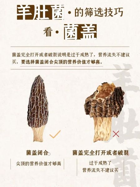 羊肚菌一次放几个_5人份用量-第1张图片-山城妙识