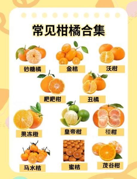 桔子的拼音怎么拼_桔子是juzi还是juzhi-第1张图片-山城妙识 桔子的拼音怎么拼_桔子是juzi还是juzhi-第1张图片-山城妙识