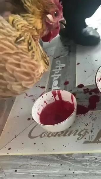 鸡血怎么凝固_鸡血凝固的方法-第3张图片-山城妙识