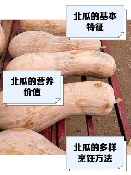 炒北瓜的做法大全_北瓜怎么炒才好吃-第3张图片-山城妙识 炒北瓜的做法大全_北瓜怎么炒才好吃-第3张图片-山城妙识