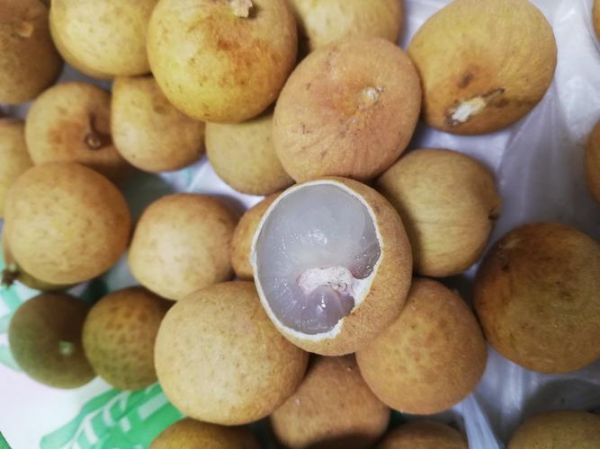 孕妇能吃龙眼吗孕晚期_孕晚期吃龙眼注意事项-第2张图片-山城妙识