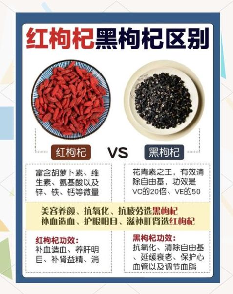 黑枸杞和红枸杞哪个好_区别功效价格全面对比-第1张图片-山城妙识