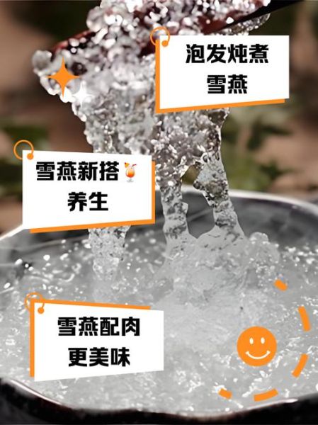 雪燕的功效与禁忌_雪燕怎么吃效果最好-第2张图片-山城妙识