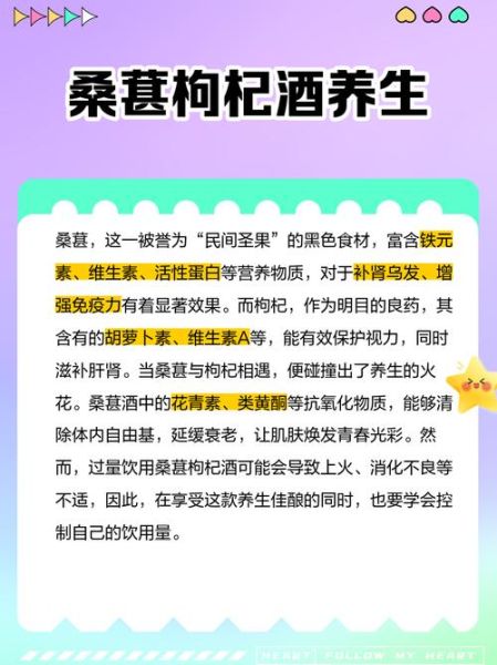 什么人不能喝桑葚酒_桑葚酒禁忌人群-第3张图片-山城妙识