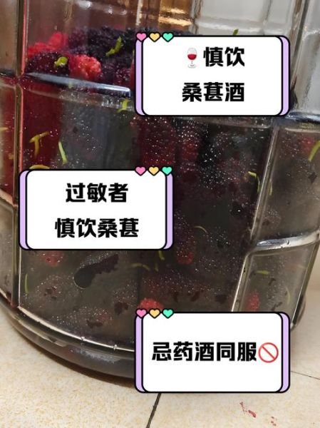 什么人不能喝桑葚酒_桑葚酒禁忌人群-第1张图片-山城妙识