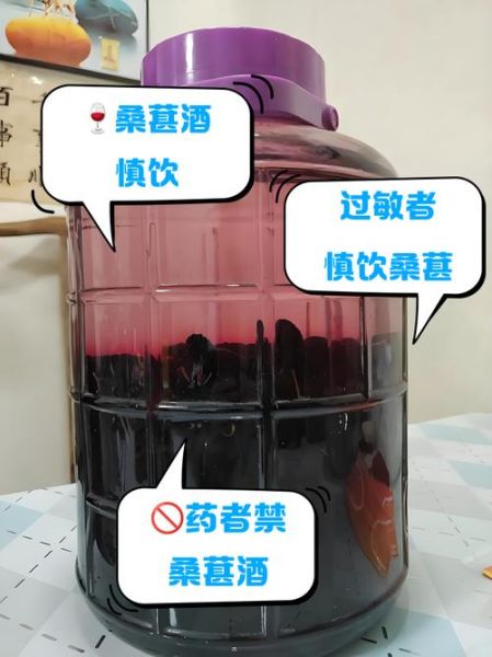 什么人不能喝桑葚酒_桑葚酒禁忌人群-第2张图片-山城妙识