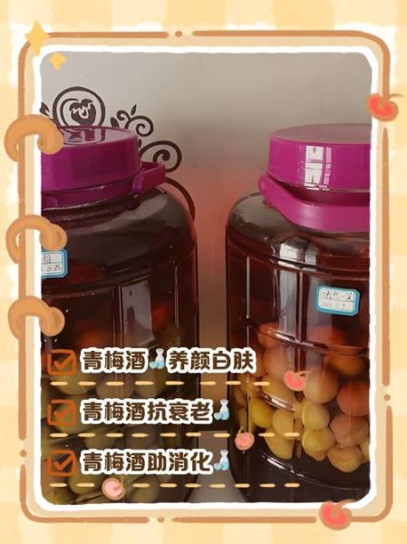 青梅酒的功效与作用_青梅酒怎么喝最养生-第1张图片-山城妙识
