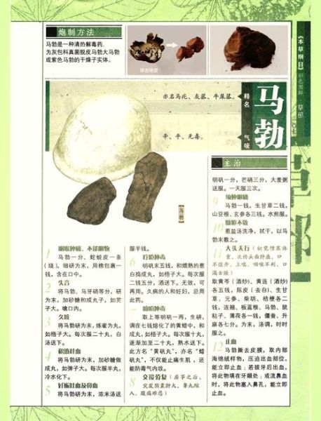 马勃是什么_马勃的功效与作用-第1张图片-山城妙识