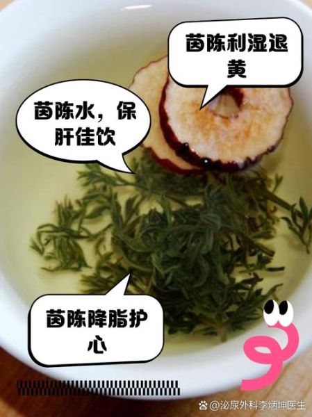茵陈泡水喝的功效与作用禁忌_哪些人不能喝-第2张图片-山城妙识