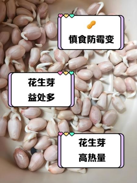 花生发芽了还能吃吗_花生芽有毒吗-第2张图片-山城妙识