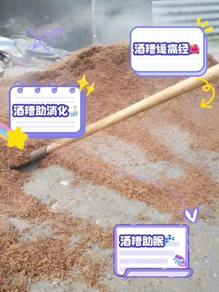 酒糟的功效与作用_酒糟怎么吃效果最好-第2张图片-山城妙识