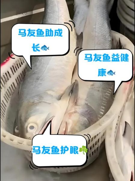 马友鱼多少钱一斤_马友鱼怎么做好吃-第3张图片-山城妙识 马友鱼多少钱一斤_马友鱼怎么做好吃-第3张图片-山城妙识