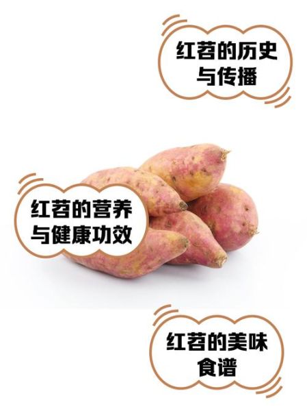 红苕的营养价值_红苕的功效与作用-第2张图片-山城妙识