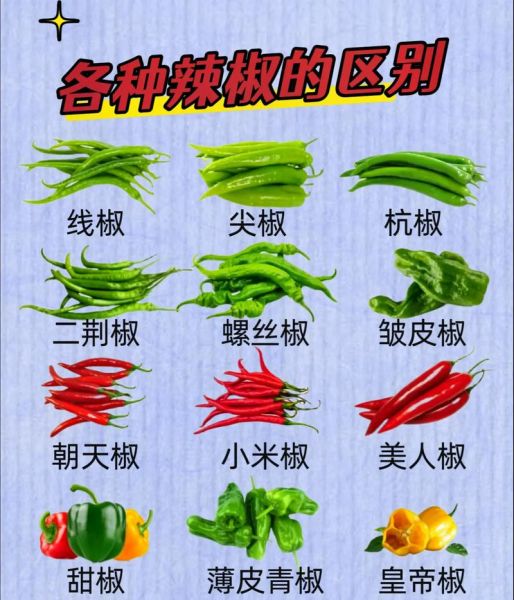 辣椒图片怎么拍_辣椒品种识别方法-第3张图片-山城妙识