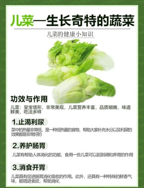 儿菜是什么菜_儿菜和榨菜的区别-第1张图片-山城妙识
