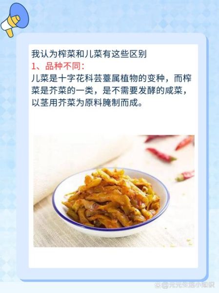 儿菜是什么菜_儿菜和榨菜的区别-第2张图片-山城妙识