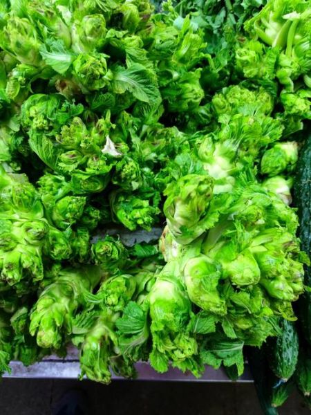 儿菜是什么菜_儿菜和榨菜的区别-第3张图片-山城妙识