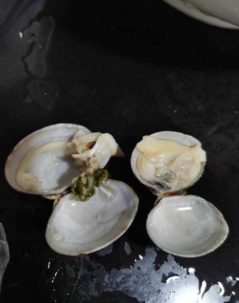 花甲内脏黑东西能吃吗_花甲黑色部位怎么处理-第1张图片-山城妙识