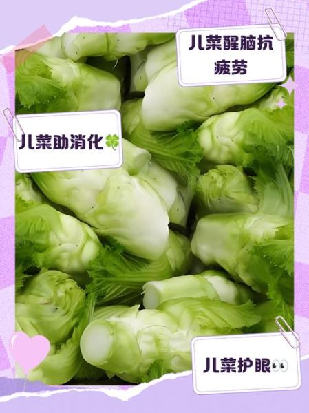 儿菜种植时间_儿菜怎么种才能高产-第2张图片-山城妙识