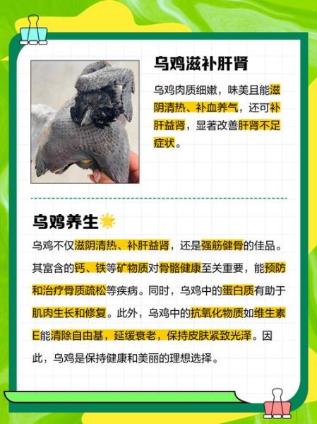 乌鸡的功效与作用适合什么人_乌鸡适合哪些体质吃-第3张图片-山城妙识