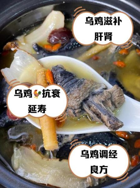 乌鸡的功效与作用适合什么人_乌鸡适合哪些体质吃-第2张图片-山城妙识