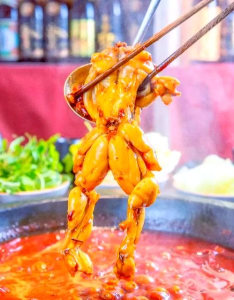 牛蛙和田鸡的区别_哪个更好吃-第3张图片-山城妙识