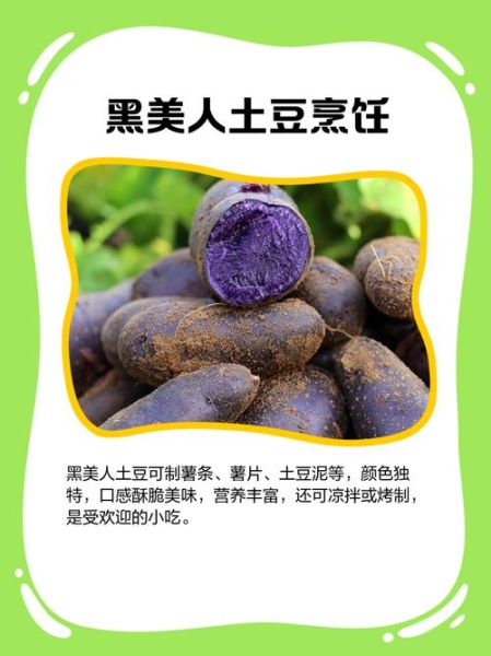 黑美人土豆怎么种_黑美人土豆营养价值高吗-第3张图片-山城妙识 黑美人土豆怎么种_黑美人土豆营养价值高吗-第3张图片-山城妙识