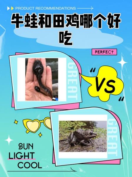 牛蛙和田鸡的区别_哪个更好吃-第1张图片-山城妙识