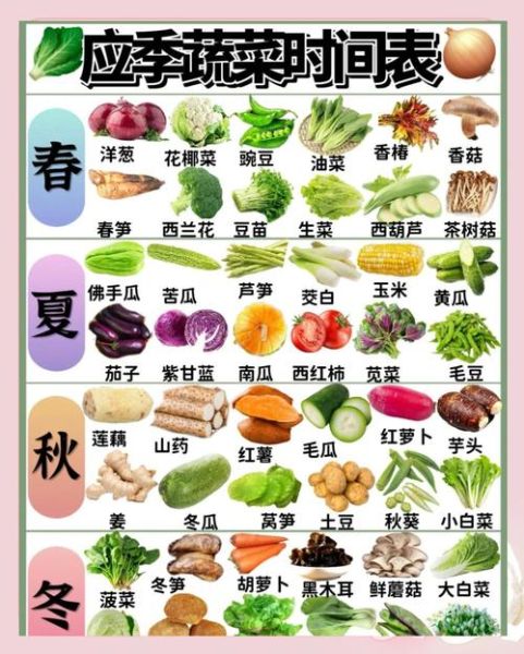 秋季时令蔬菜有哪些_秋天吃什么蔬菜最应季-第1张图片-山城妙识