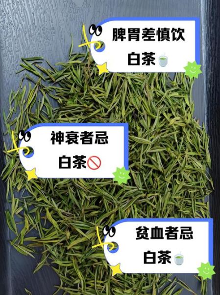 白茶什么人不能喝_白茶禁忌人群有哪些-第1张图片-山城妙识 白茶什么人不能喝_白茶禁忌人群有哪些-第1张图片-山城妙识