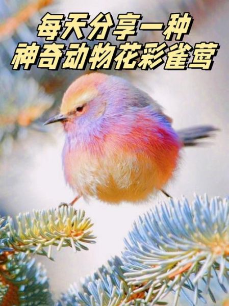 斑斓是什么颜色_斑斓和彩色有什么区别-第1张图片-山城妙识 斑斓是什么颜色_斑斓和彩色有什么区别-第1张图片-山城妙识