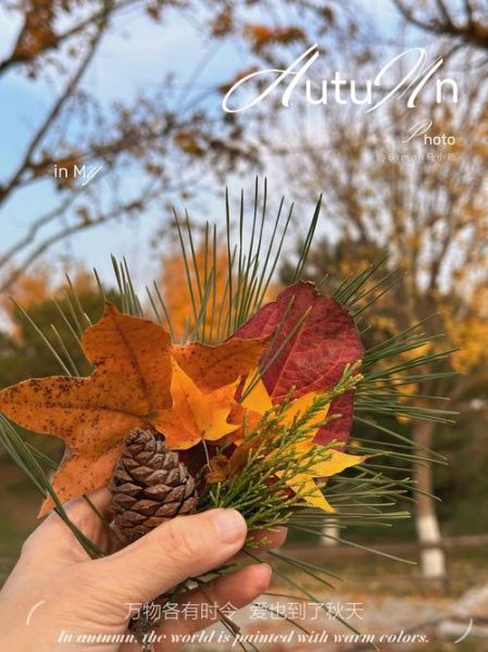 斑斓是什么颜色_斑斓和彩色有什么区别-第3张图片-山城妙识 斑斓是什么颜色_斑斓和彩色有什么区别-第3张图片-山城妙识