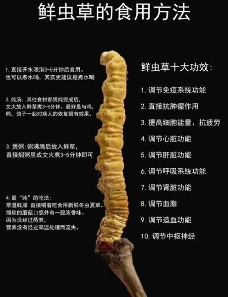 冬虫夏草是怎么形成的_冬虫夏草形成过程详解-第3张图片-山城妙识