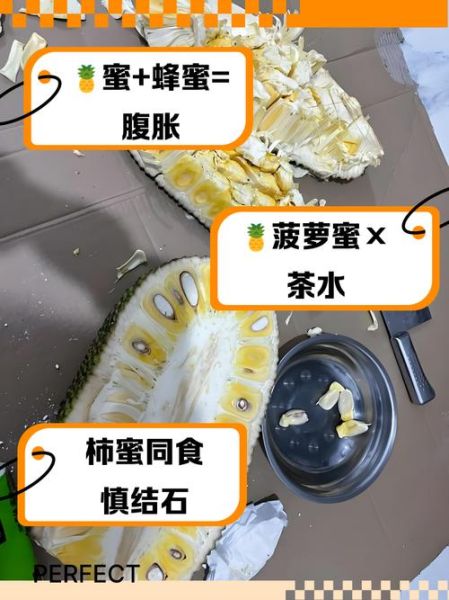 菠萝蜜不能和什么一起吃_吃菠萝蜜的副作用有哪些-第2张图片-山城妙识