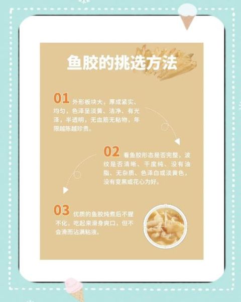 鱼肚和鱼泡是一个东西吗_鱼肚鱼泡区别-第1张图片-山城妙识