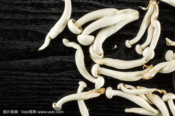 白蘑菇切开里面有一圈黑色_还能吃吗-第3张图片-山城妙识