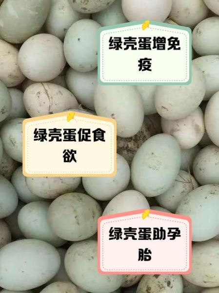绿壳鸡蛋和普通鸡蛋有区别吗_营养价值对比-第2张图片-山城妙识 绿壳鸡蛋和普通鸡蛋有区别吗_营养价值对比-第2张图片-山城妙识