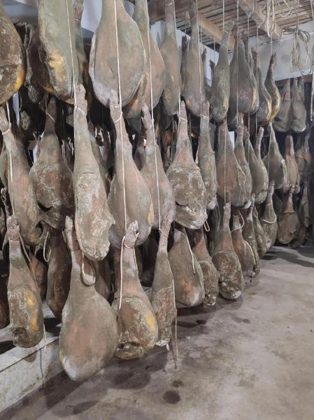 火腿火腿在线观看中文版哪里看_火腿火腿在线观看中文版高清资源-第1张图片-山城妙识