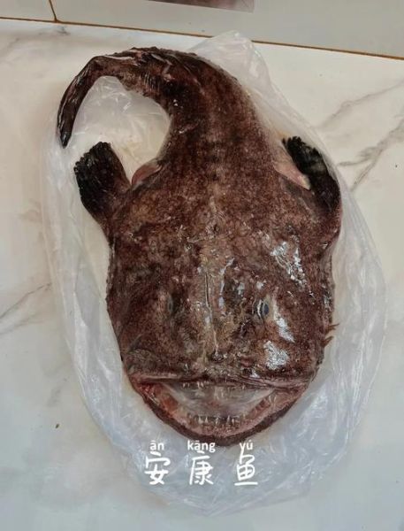 安康鱼红烧怎么做好吃_安康鱼红烧的做法大全-第2张图片-山城妙识