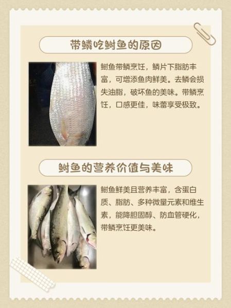 鲥鱼鱼鳞可以吃吗_鲥鱼鱼鳞怎么吃-第1张图片-山城妙识