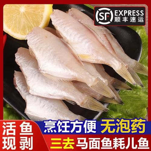 橡皮鱼的功效与作用_橡皮鱼怎么吃最营养-第1张图片-山城妙识