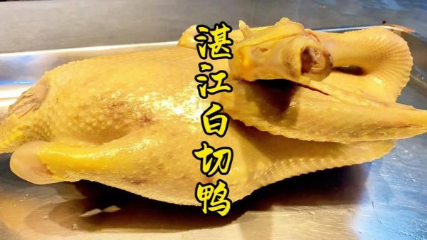 鸭子怎么做好吃_鸭子的100种做法-第1张图片-山城妙识