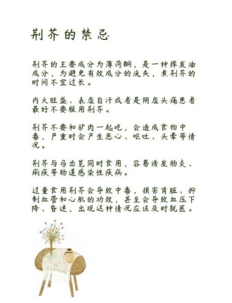 荆芥的功效与作用_荆芥的禁忌有哪些-第3张图片-山城妙识